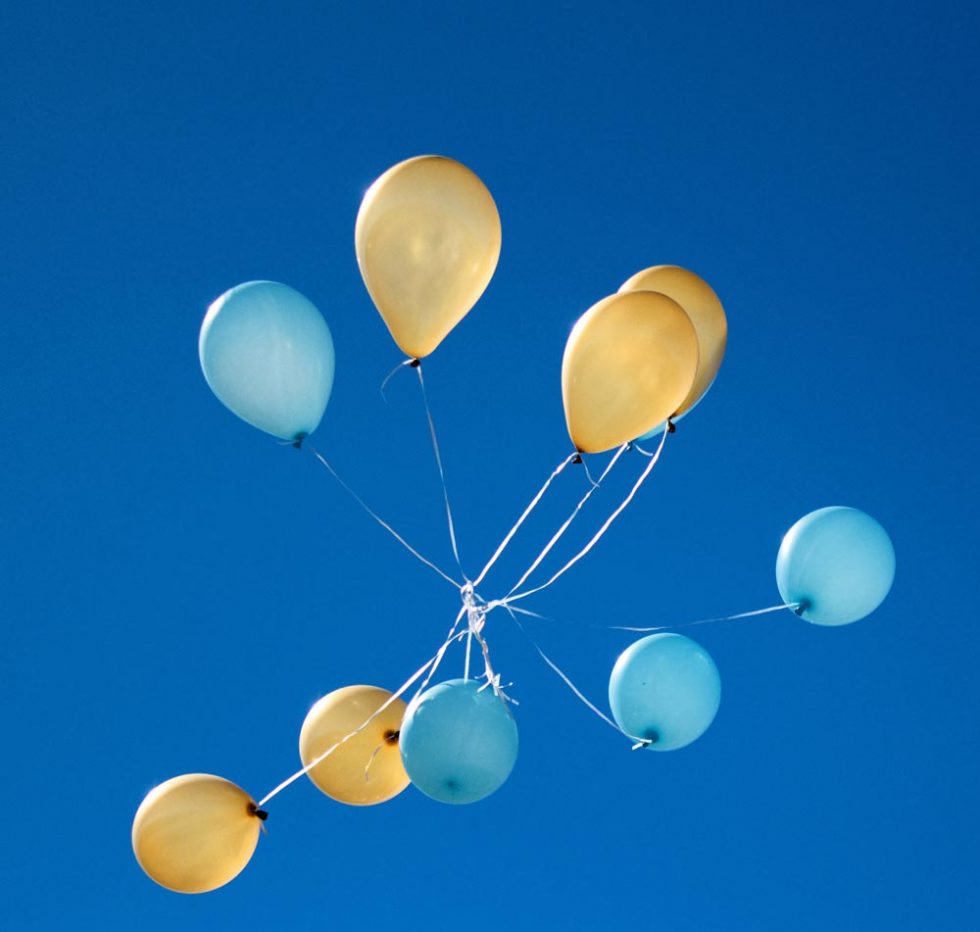 Balloon Pollution Threatens Marine Wildlife: Be Balloon Aware